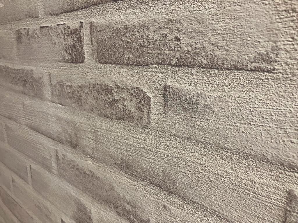 Le badigeon avec Caparol | Paint & Stuc